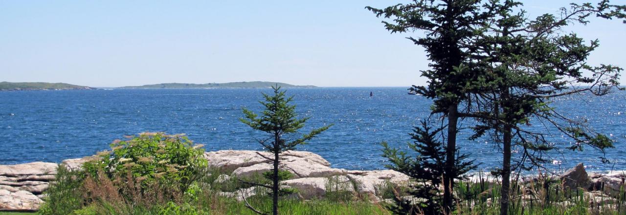 Fuji Clean USA | Environmentally Friendly Wastewater Management