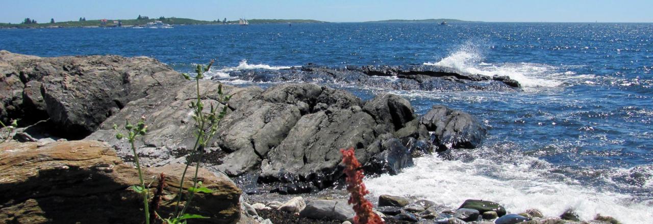 Fuji Clean USA | Environmentally Friendly Wastewater Management